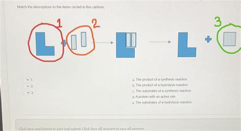 [solved] match the descriptions to the items circled in this cartoon 2