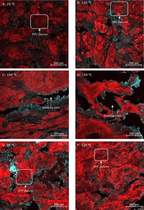 Microstructure Of The Sheared Products From Rpc Only Was Obtained At Download Scientific