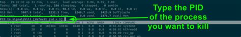 Master Linux Kill Process Using Ps Pgrep Pkill And More