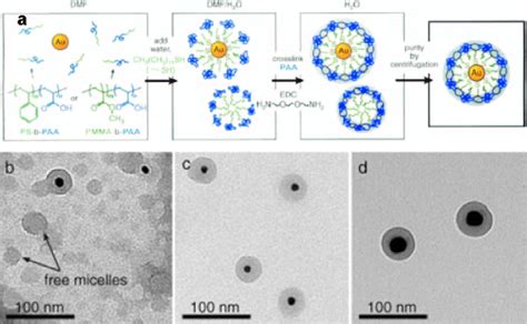 A Methodology For Obtaining Coreshell Gold Nanoparticles B Download Scientific Diagram