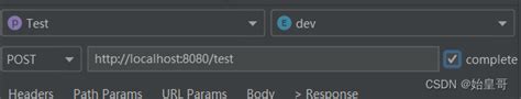 fiddler操作【3】抓取idea的请求报文 （win10 上 charles 抓包 idea intellij 的 请求） 编程库