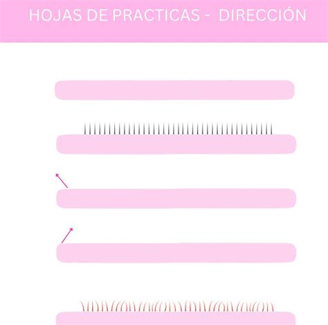 Hojas De Practicas Dirección De Extensiones De Pestañas Pestañas