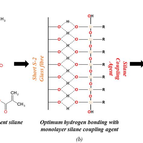A General Silane Grafting Procedure Was Followed Throughout The Study