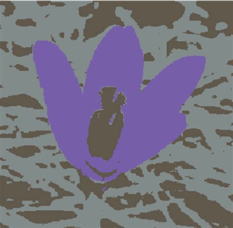 the image „flower” clustered with fcm algorithm and luv download