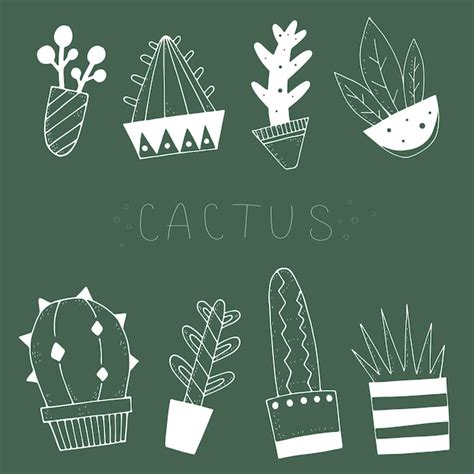 Premium Vector Cute Cacti Set Vector Illustration