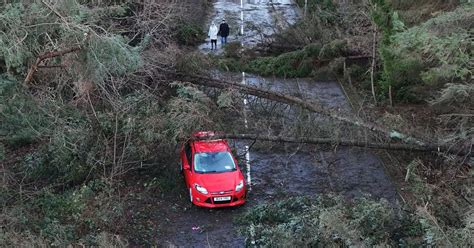 Storm éowyn Uk Storm Tracker