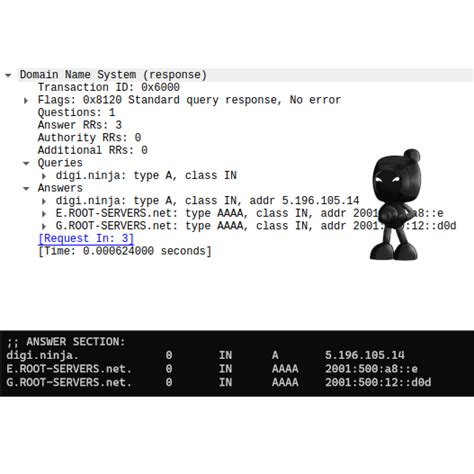 WSL DNS Oddness DigiNinja