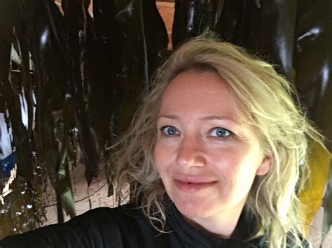 About Scandsea — Wild Seaweed Harvested By Marine Biologists Bohuslän