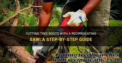 Cutting Tree Roots With A Reciprocating Saw A Step By Step Guide