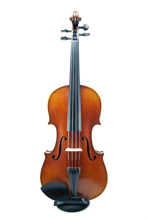Viola Vienna Violine And Accessories
