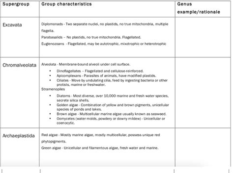 Answered Excavata Diplomonads Two Separate… Bartleby