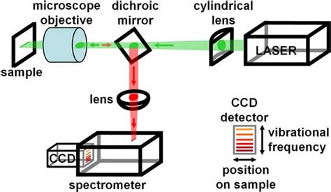 Raman Spectroscopy And Related Techniques In Biomedicine