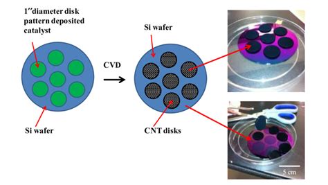 6 Synthesis Of Vertically Aligned Disks Of Carbon Nanotubes On Si Wafer Download Scientific
