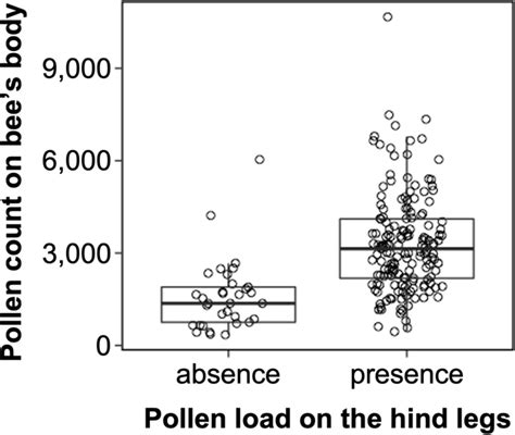 Relationship Between Pollen Collection And Pollen Count On Bees Bodies Download Scientific