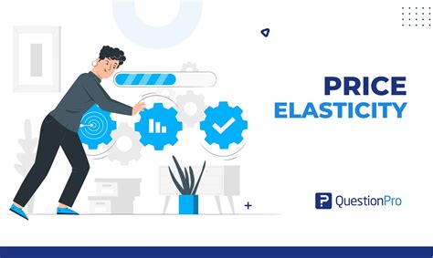 price elasticity of demand