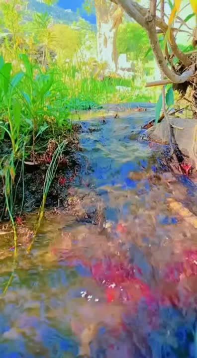 Shahzadi Irum On Linkedin Love Art Digital