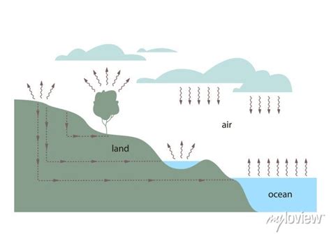 Hydrology Diagram Showing Precipitation Groundwater And Water • Wall