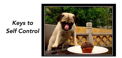 Three Keys To Self Control From Proverbs Proclaim And Defend