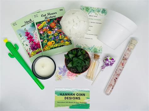 Succulent T Box Plant T Box Deluxe T Box Care Package