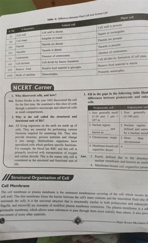 Table 2 Difference Between Plant Cell And Animal Cell Ncert Corner 1 W