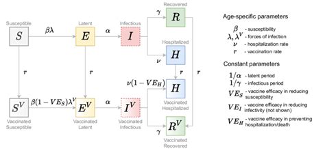 Schematic Of The Transmission Model Gray Arrows Show Epidemiological Download Scientific
