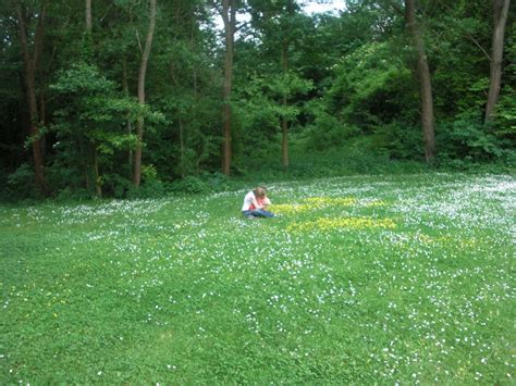 Ce Este Vitamina L Si Cum Se Foloseste In Alimentatie Cristela Georgescu