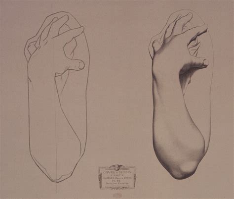 Art Instructor Danica Papali Classical Drawing