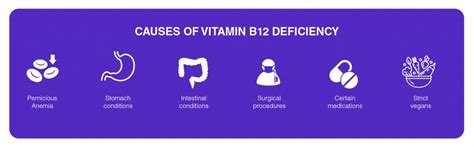 Overview Of Vitamin B12 Deficiency Dr Lal Pathlabs Blog
