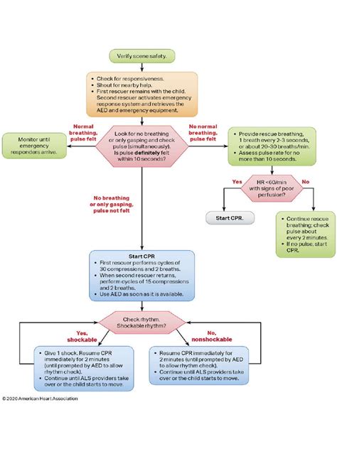 Algorithm Bls Ped 2 Rescuers P5 Pdf