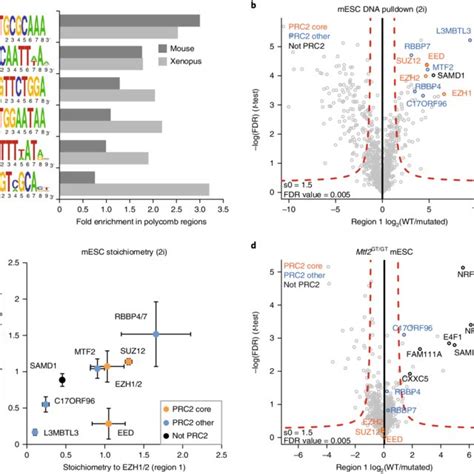 Extended Characterization Of Chip Seq Data A B Heatmap Left And
