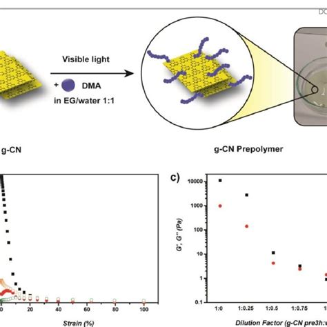 A Schematic Representation Of G Cn Precursor Formation B Storage And