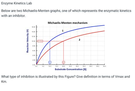 Solved Enzyme Kinetics Lab Below Are Two Michaelis Menten