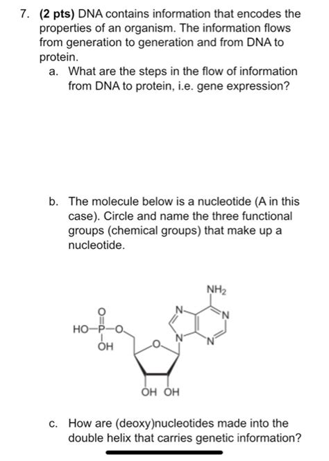 Solved 7 2 Pts Dna Contains Information That Encodes The