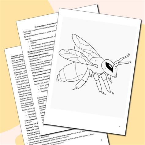 Конспект урока по предмету «Окружающий мир для 1 класса Тема Мир животных насекомые