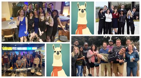 Emily Eynon Mba On Linkedin Llamasoft Jointheherd