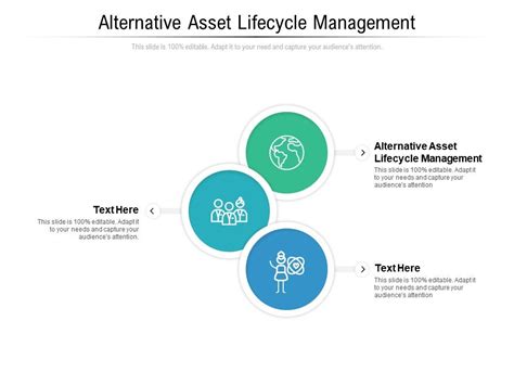 Alternative Asset Lifecycle Management Ppt Powerpoint Presentation File