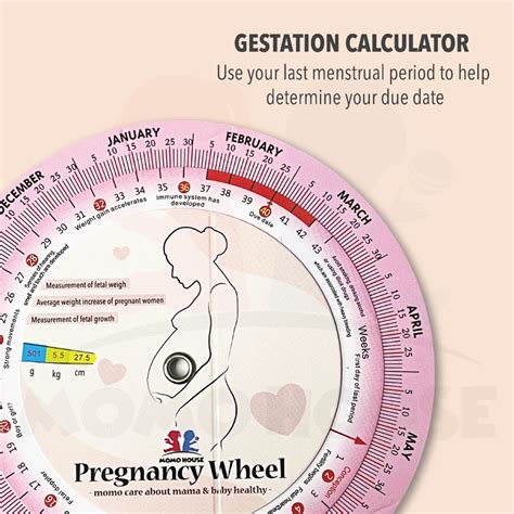 Pregnancy Calculator Wheel Roda Kehamilan Pregnancy Ob Wheel Obstetric