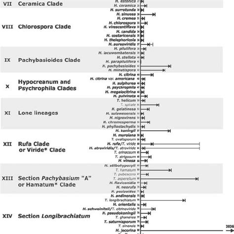 Development Of Trichoderma Spp Taxonomy Before And After Methods Of