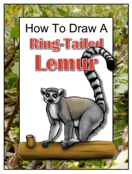 How To Draw A Ring Tailed Lemur By Drawing With John Tpt