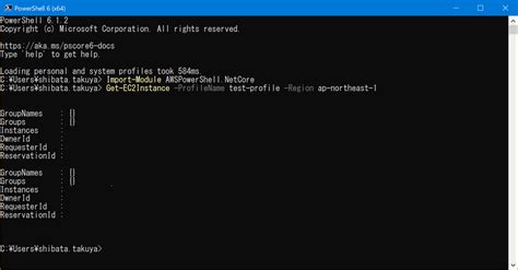 Powershell Coreでawspowershellnetcoreモジュールが自動ロードされない問題と回避策について Developersio