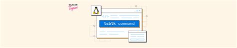 Lsblk Command In Linux Scaler Topics
