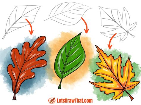 How To Draw Leaves 3 Easy Fall Leaf Drawings