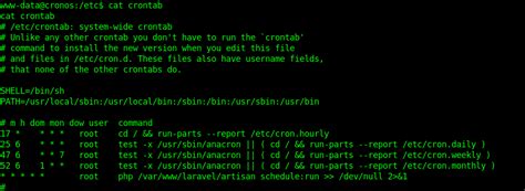 Laravel Schedule Task Crontab VK9 Security