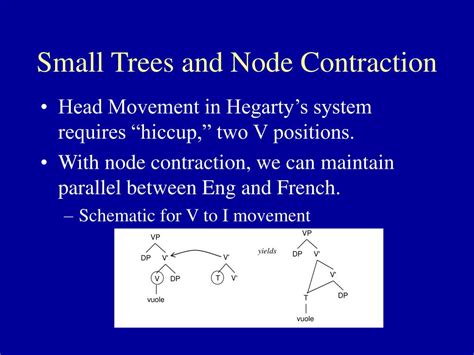 Ppt Exploring Multidominance In Tree Adjoining Grammar Powerpoint Presentation Id973015