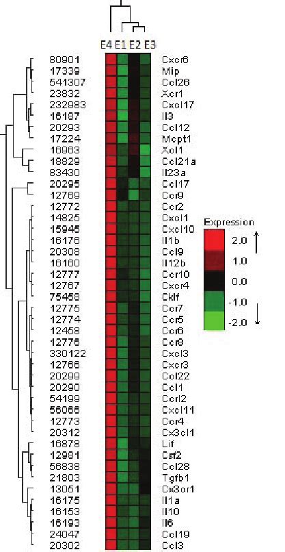 Average Linkage Hierarchical Clustering Example The Expression Of 44 Download Scientific