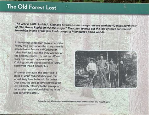 The Lost 40 A Remnant Of Old Growth Forest In Minnesota North Mn Outdoors