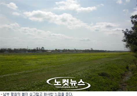 퇴폐적 다문화지대 버번 스트리트부르봉의 영욕 서린 길 노컷뉴스