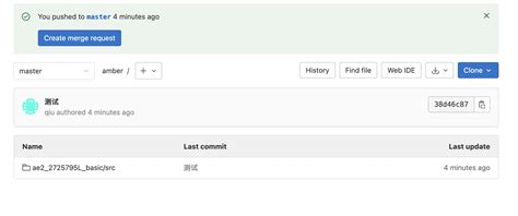 Gitlab操作 Csdn博客