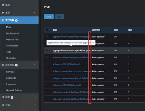 Feature 个别页面的名称显示不完整 Issue Panel dev KubePi GitHub