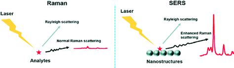 Comparison Between The Raman Technique And The Sers Technique The Main